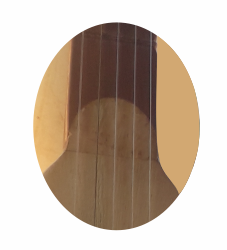 Viola de Cocho - Cururu Siriri